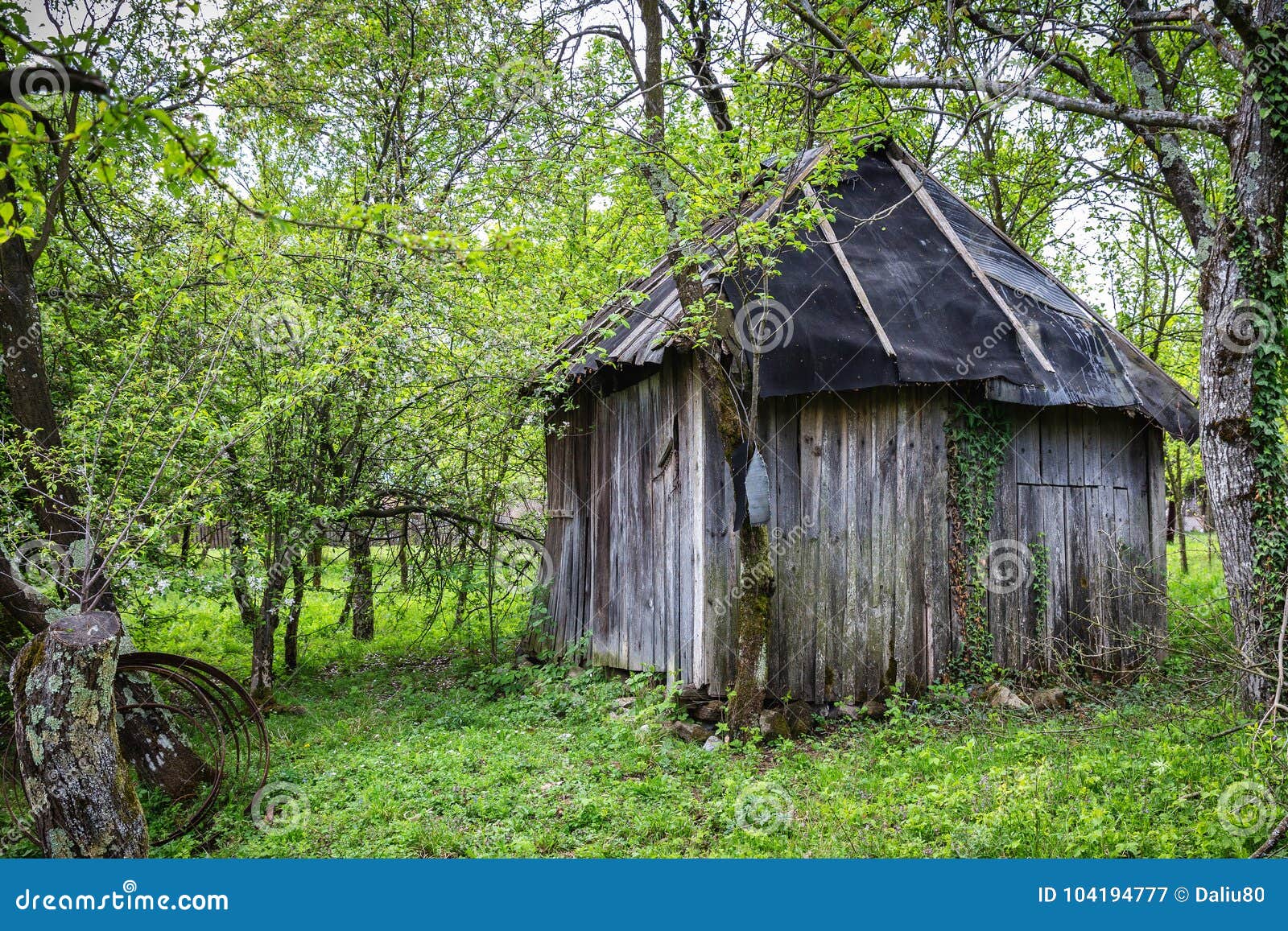 Backyard Garden with Small Shed and Trees Stock Image - Image of ...