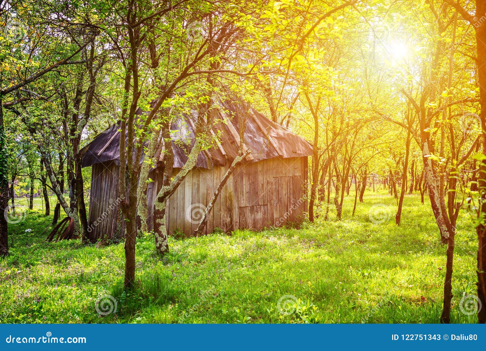 Backyard Garden with Small Shed and Trees Stock Image - Image of ...