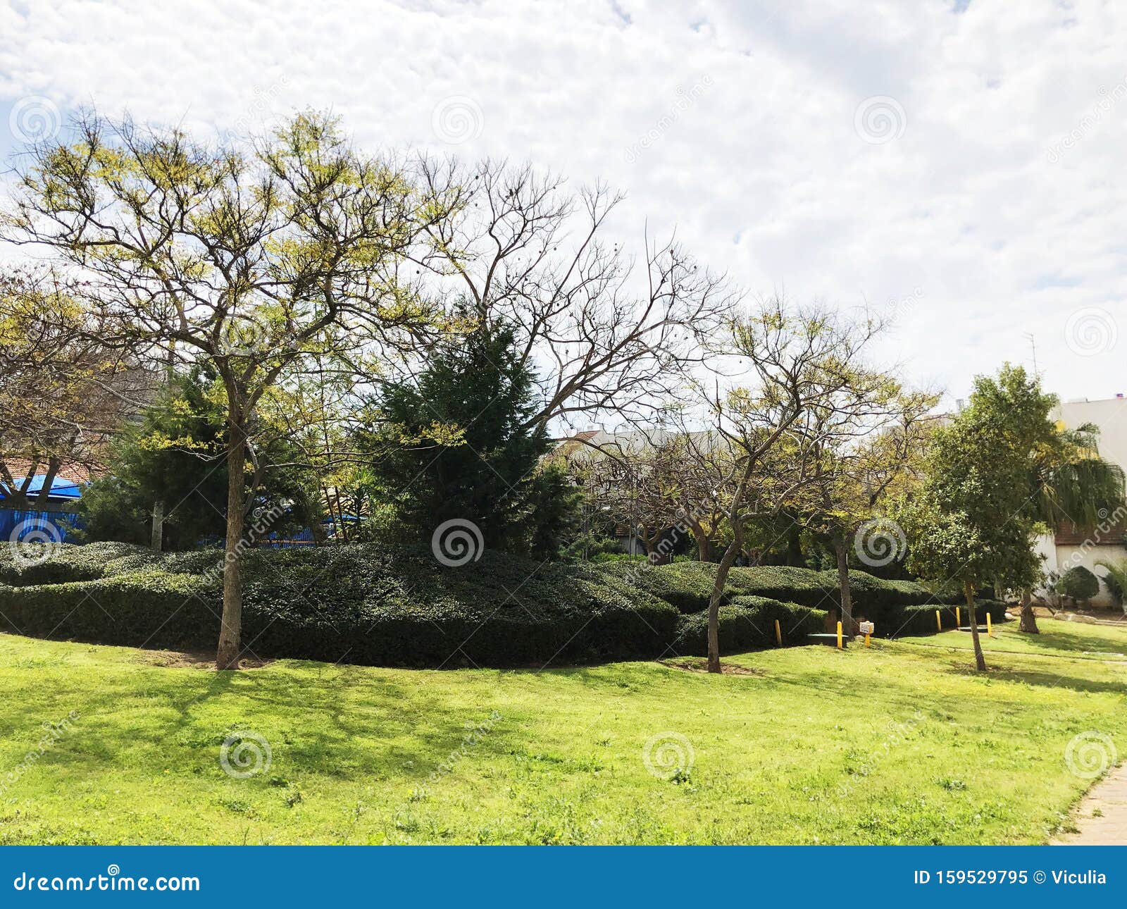 Backyard and Garden with Trees and Grass on Lawn Stock Image - Image of ...