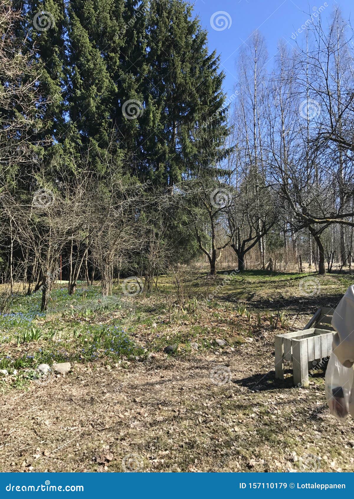 Not in My Backyard stock image. Image of backyard, bloom - 157110179