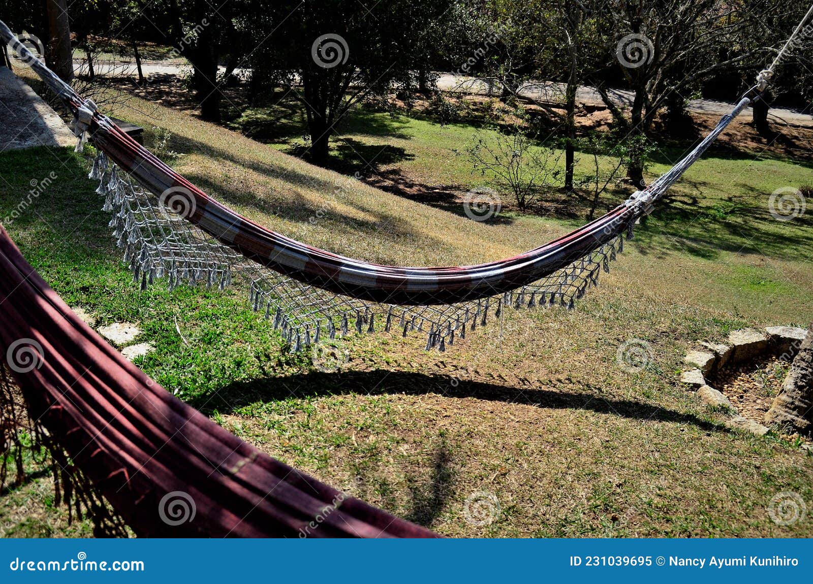 Swing Net Set Up in the Backyard in the Countryside Stock Image - Image ...