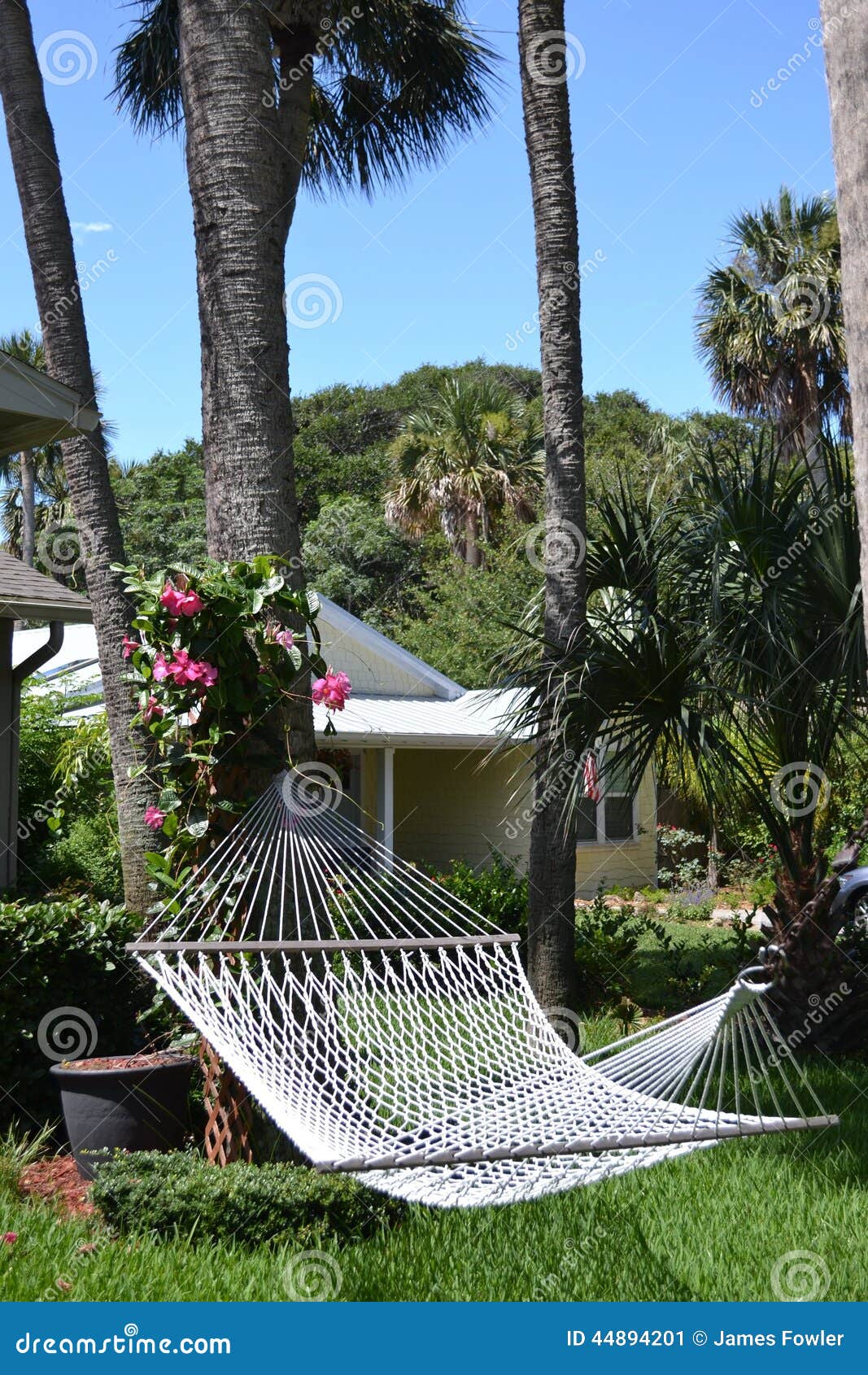 Backyard Hammock in Tropics Stock Image - Image of relax, green: 44894201