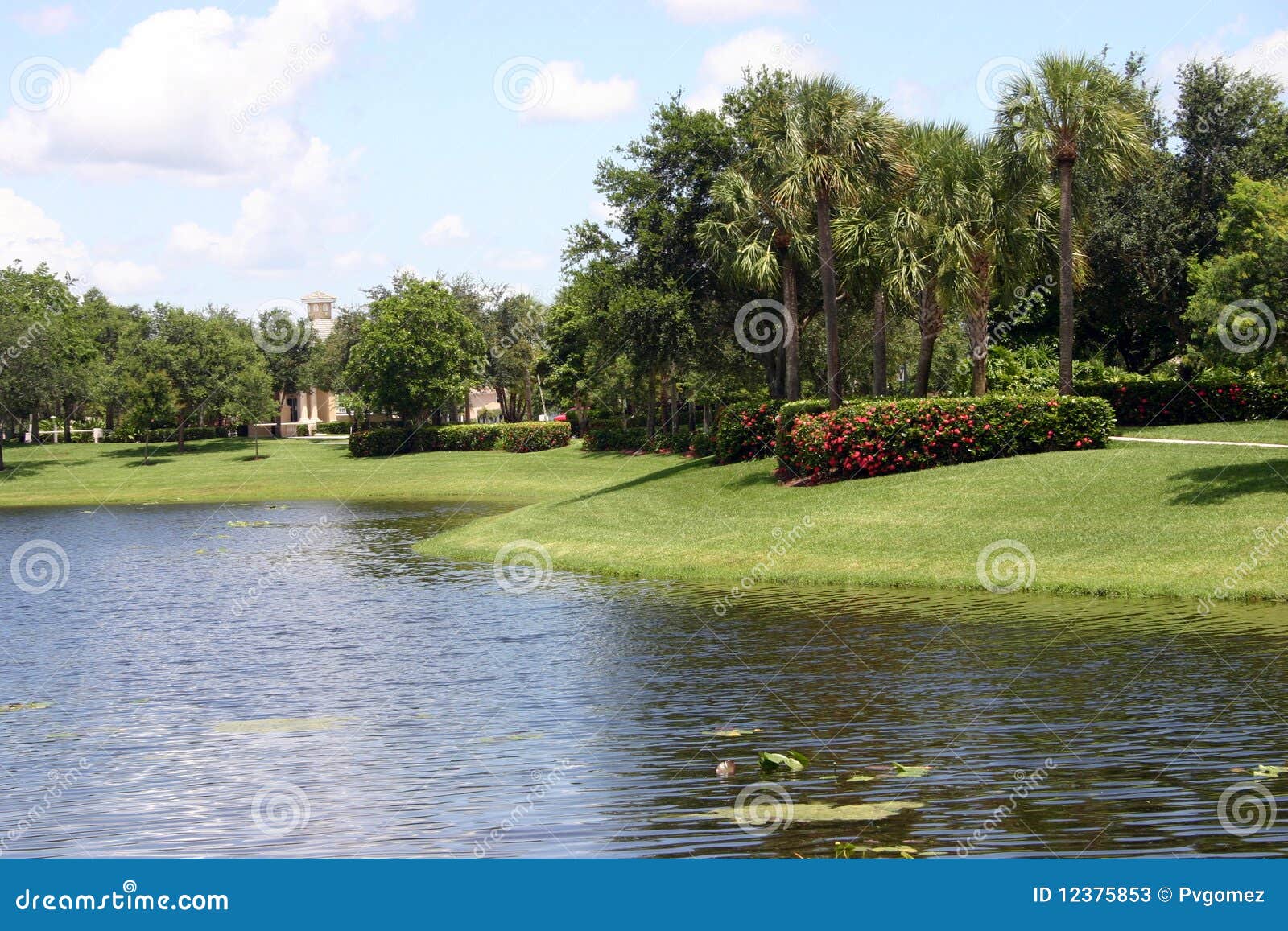 Backyard Lake stock image. Image of side, community, water - 12375853