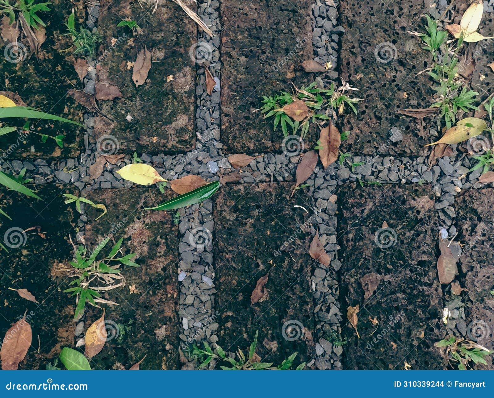 Backyard Landscaping Pathway Texture Stock Photo - Image of footpath ...