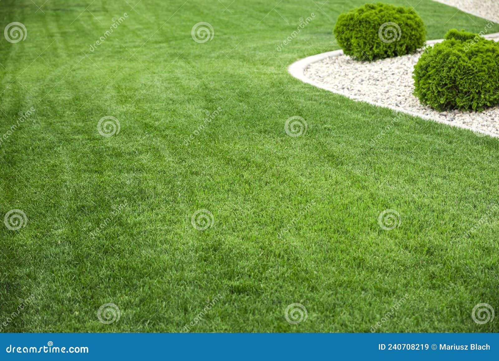 Backyard with Natural Green Grass Stock Image - Image of backyard ...