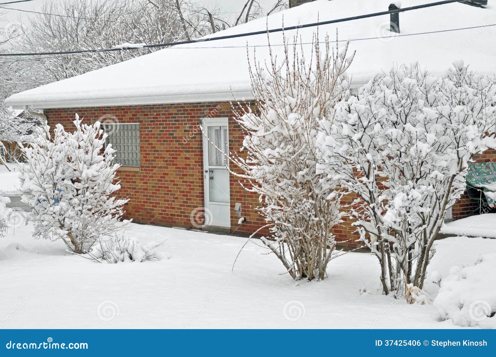 Backyard and New Fallen Snow Stock Photo - Image of tree, home: 37425406
