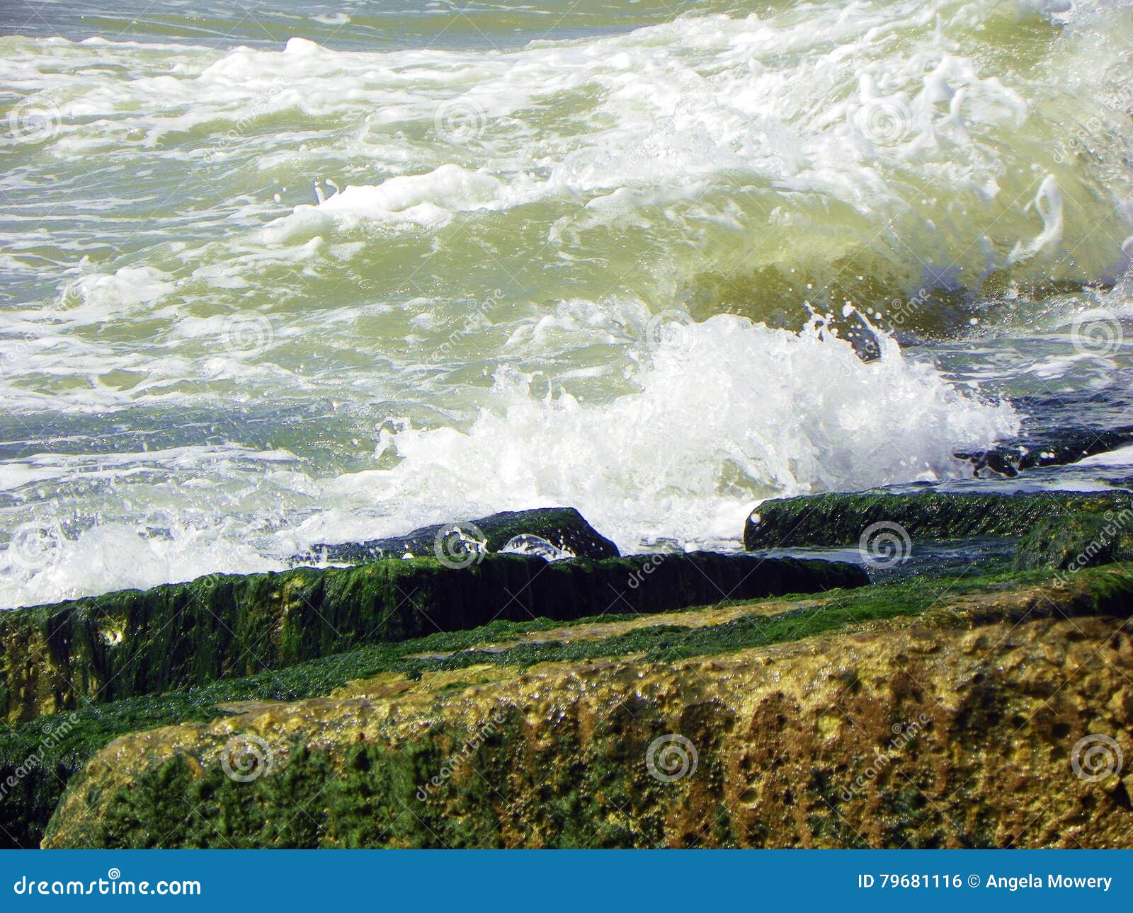 Backyard Ocean Wave stock photo. Image of blocks, ocean - 79681116