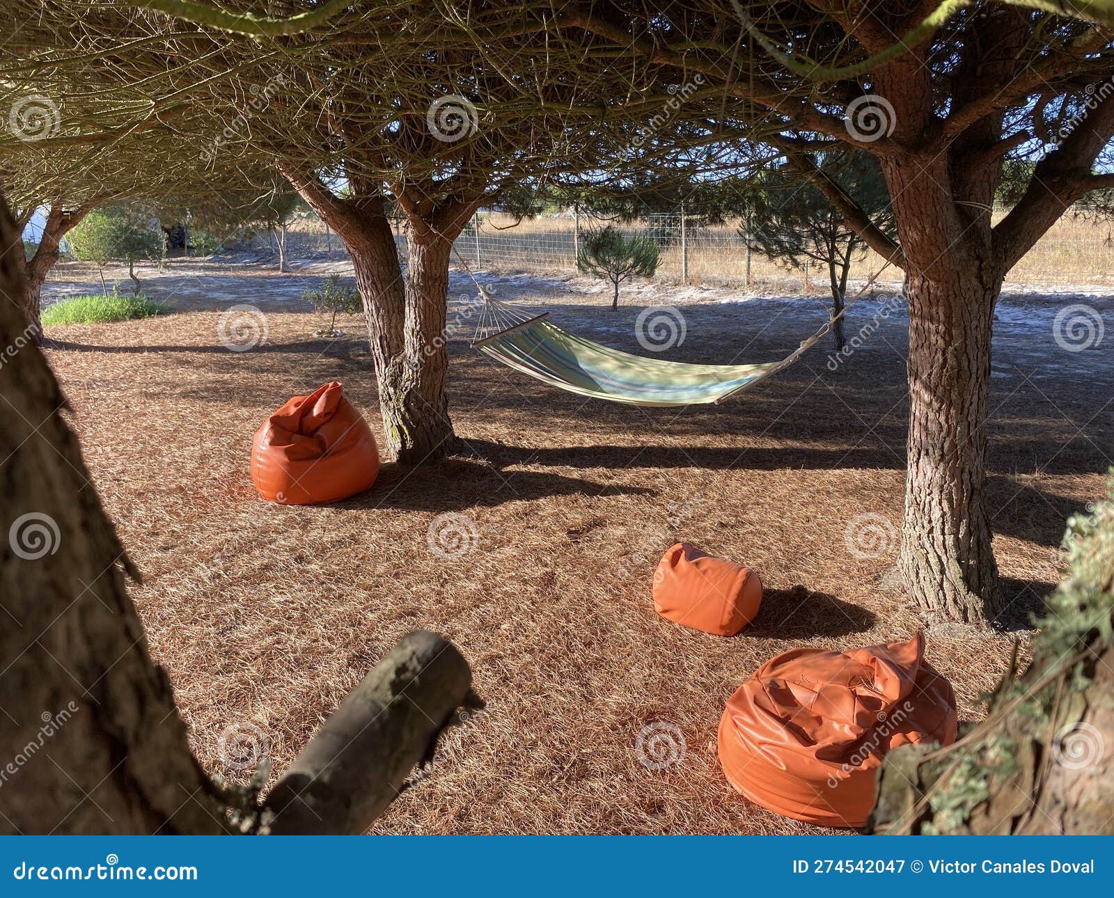 Backyard or Patio Objects Ready for Relax and Party Friends. Hammock ...