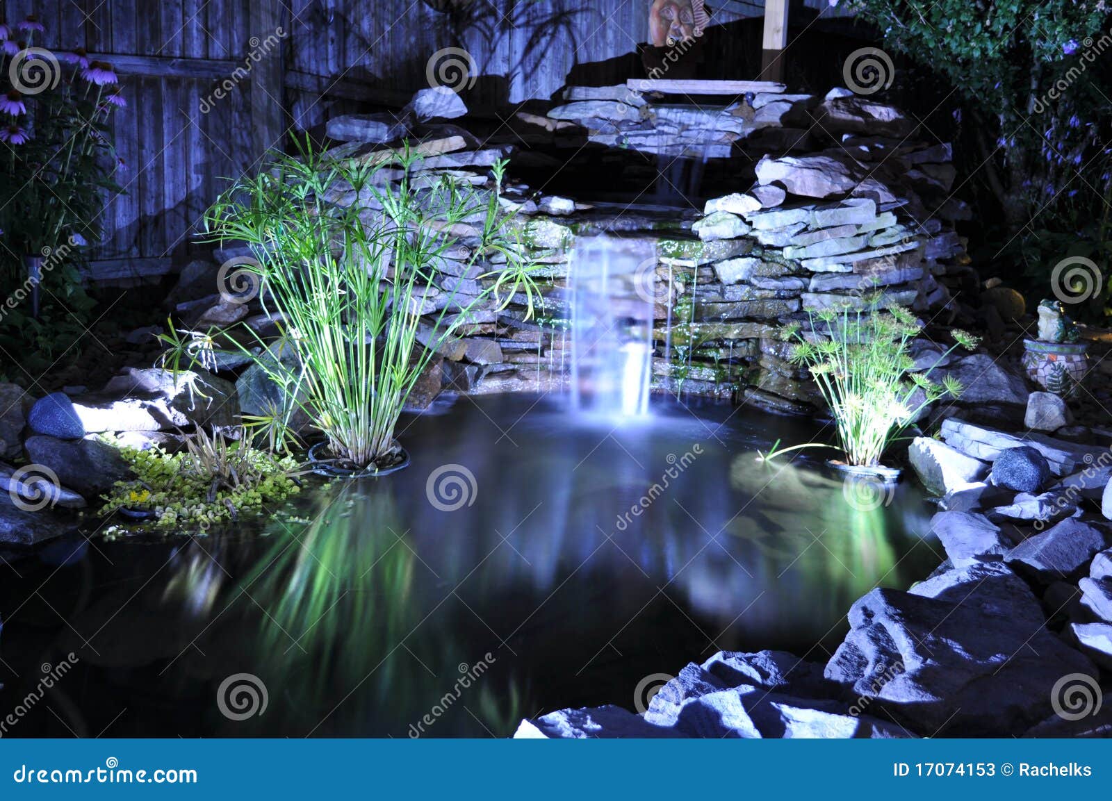 Backyard pond stock image. Image of dark, night, water - 17074153