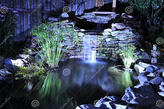 Backyard pond stock image. Image of dark, night, water - 17074153
