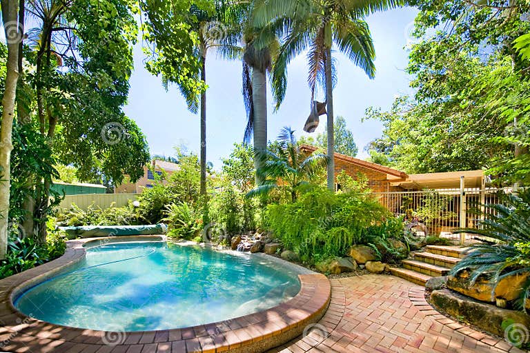 Backyard pool stock photo. Image of landscape, palms - 10444632