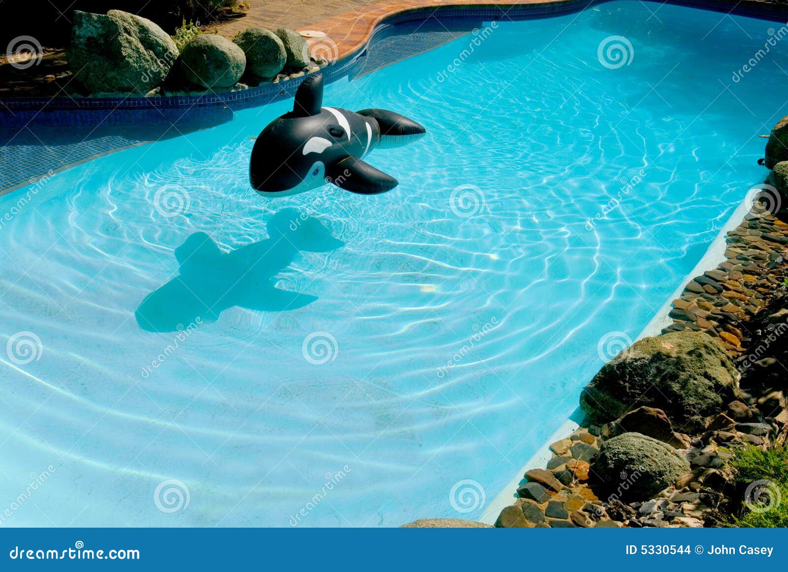 Backyard pool stock photo. Image of recreational, sunny - 5330544