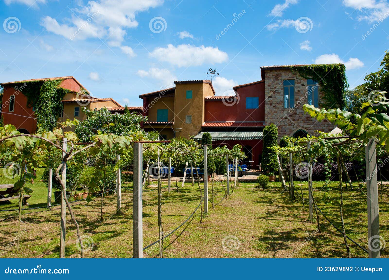 Backyard of Primo Posto stock photo. Image of thailand - 23629892