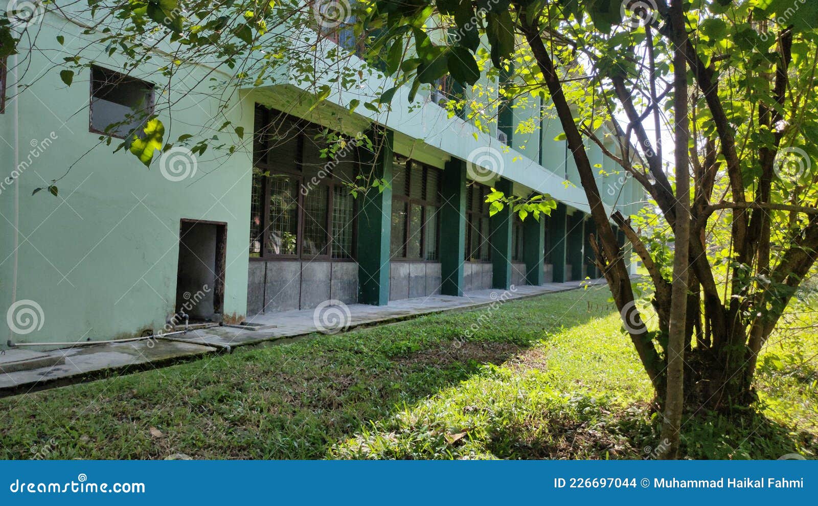 Backyard of a school stock photo. Image of flower, green - 226697044