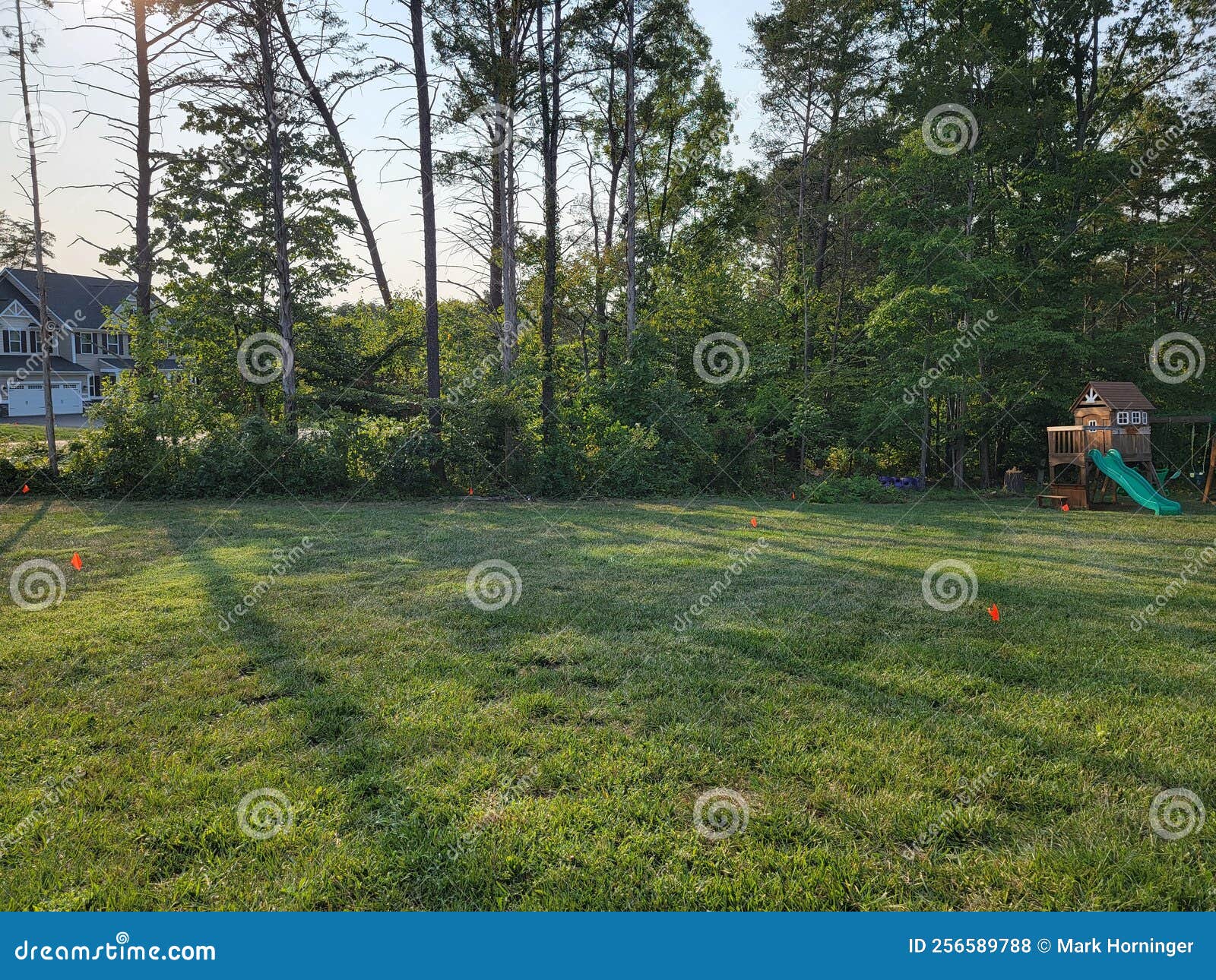 Backyard on a summer day stock photo. Image of backyard - 256589788