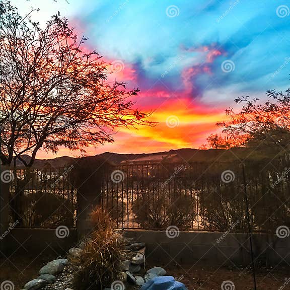 Backyard Sunset stock photo. Image of nature, sunset - 65946550