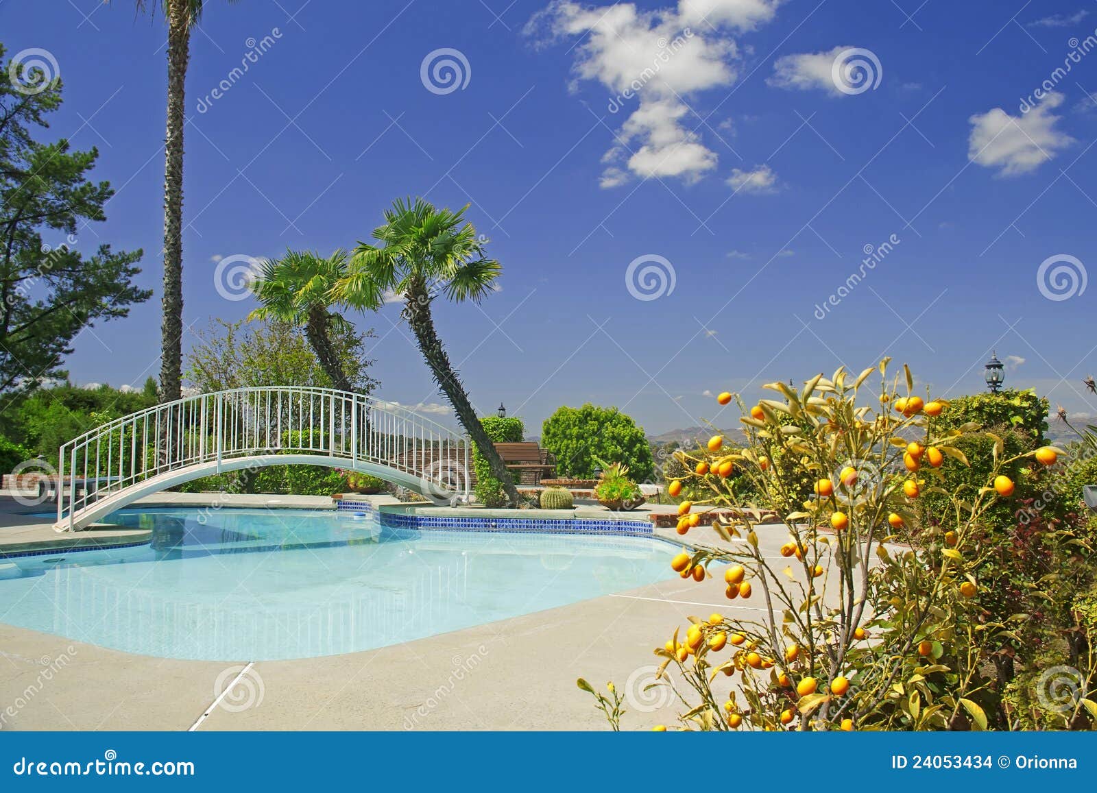 Backyard with Swimming Pool and Little Bridge Stock Photo - Image of ...