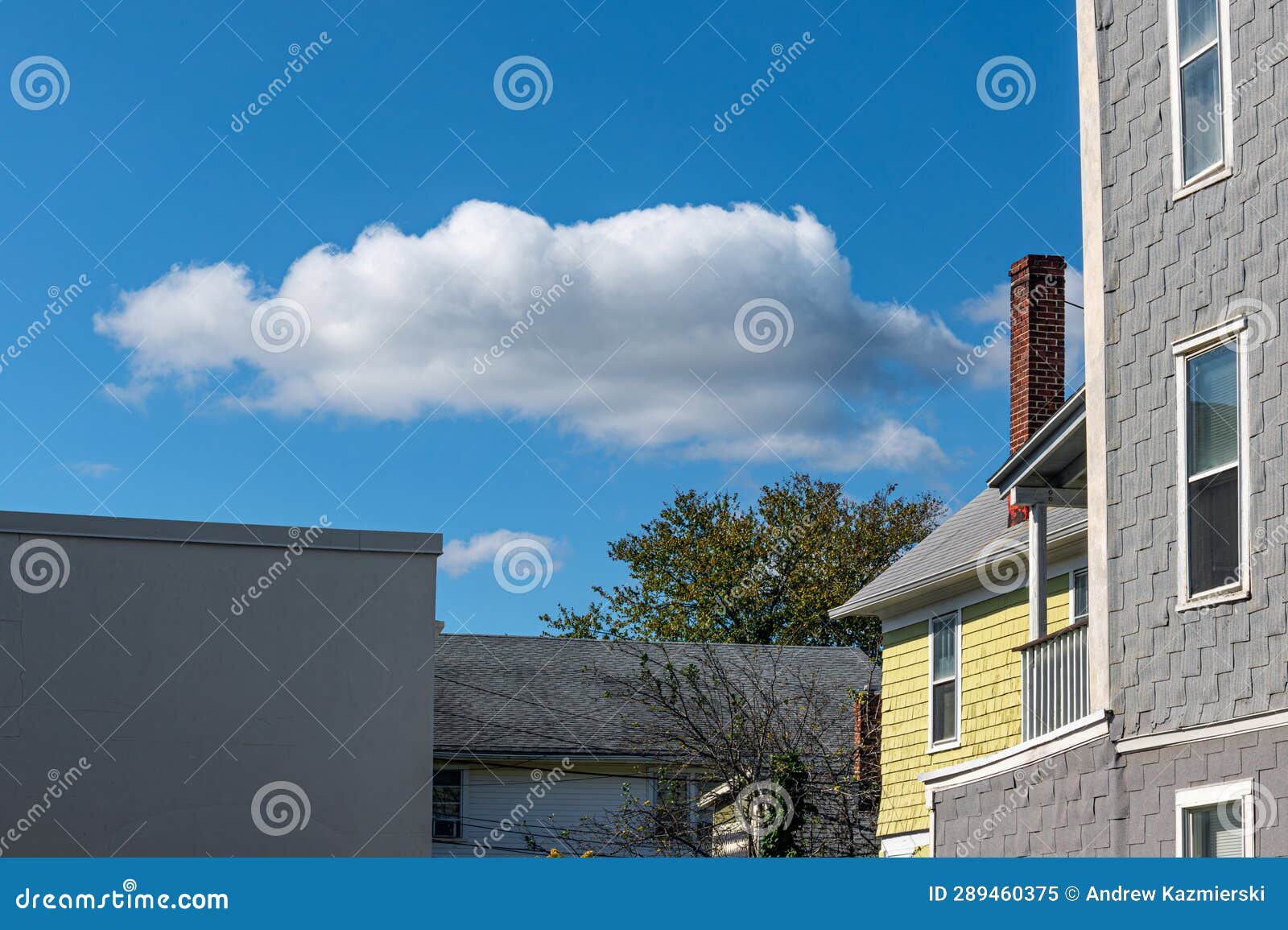 Backyard View stock image. Image of chimney, backyard - 289460375