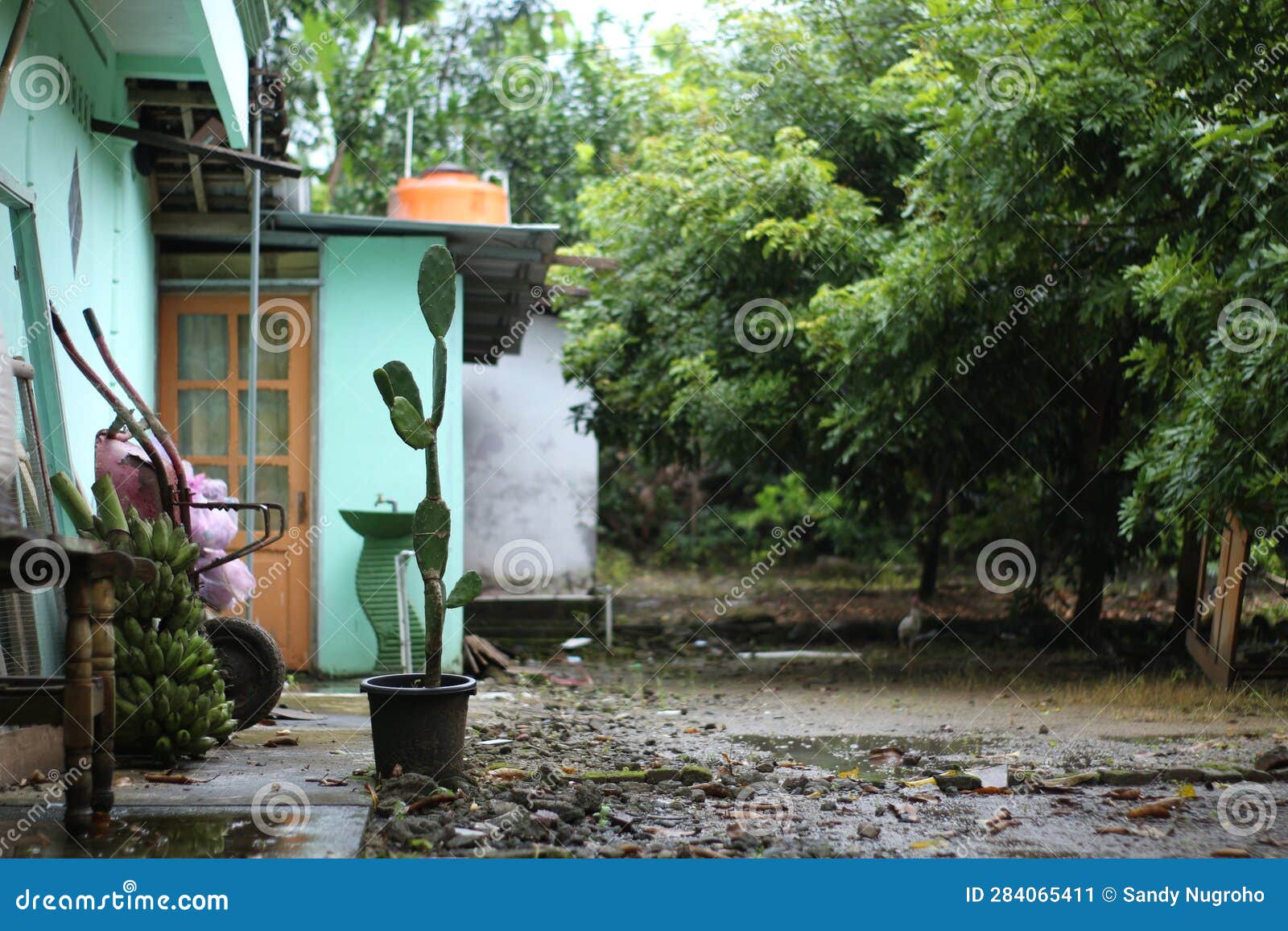 Backyard of village house stock image. Image of house - 284065411