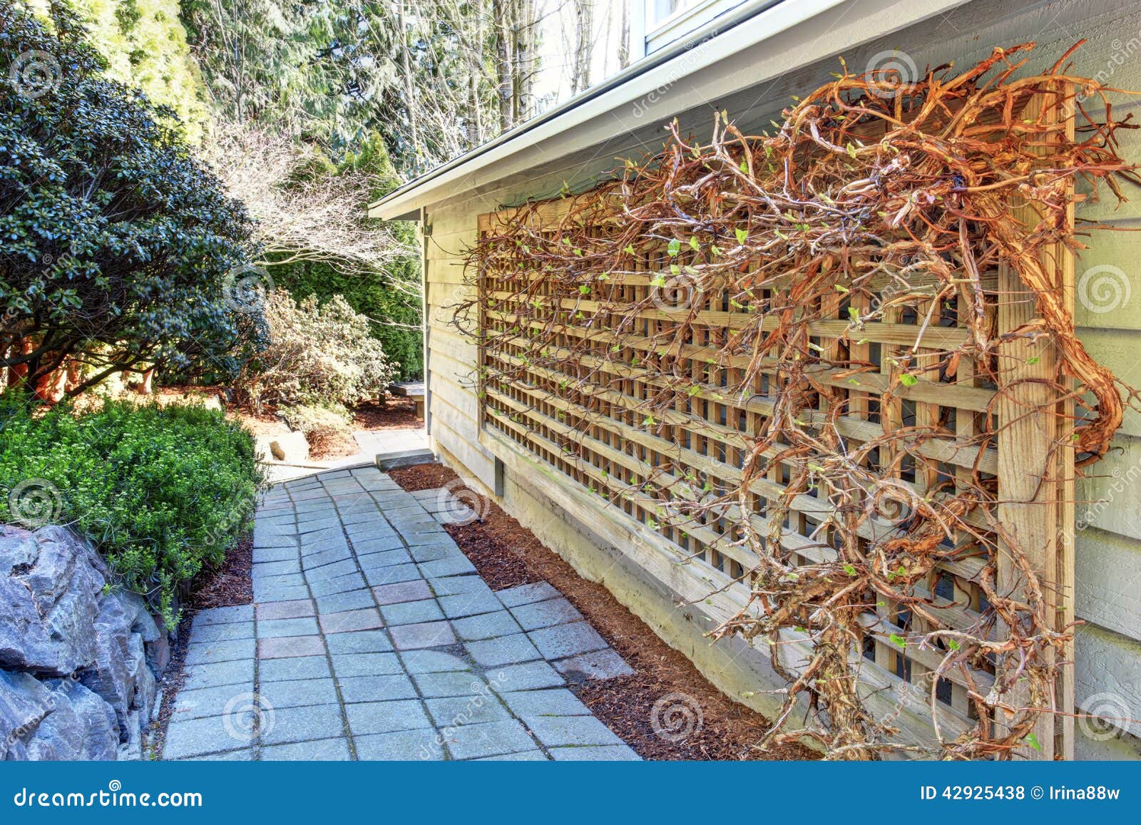 Backyard with Walkway and Grid Attached To the Wall Stock Photo - Image ...