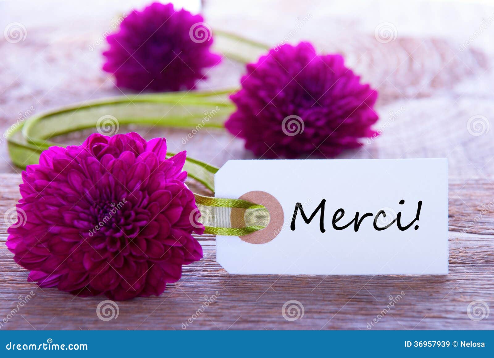 Baclground Roxo Verde Com Merci Imagem de Stock - Imagem de obrigado ...