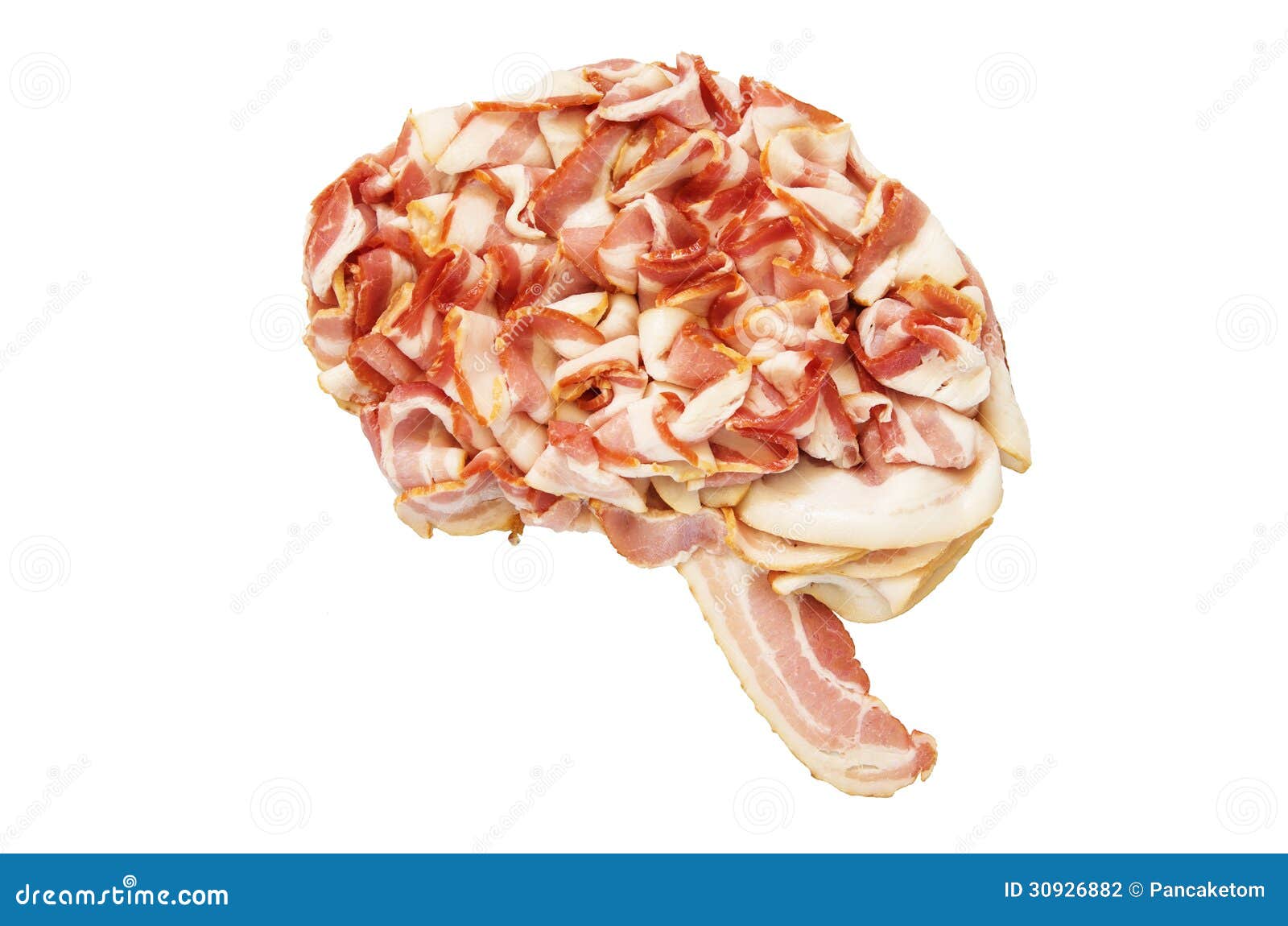 Bacon Brain stock photo. Image of lover, mind, cutout - 30926882