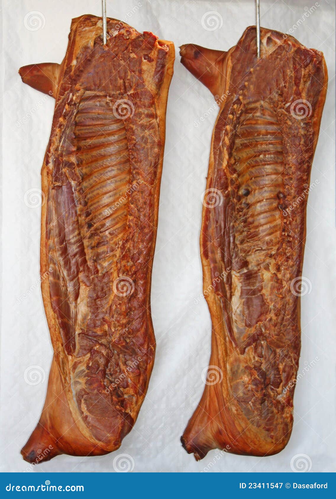 Bacon Carcasses. stock image. Image of cook, carcass - 23411547