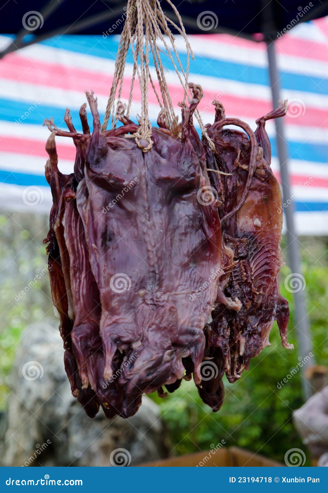 Bacon Cured Field Mouse Meat Stock Photo - Image of fresh, meat: 23194718