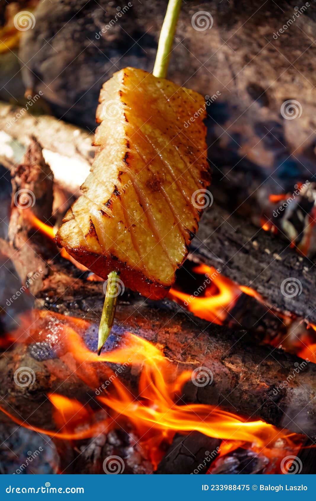 Bacon on Fire , Barbecue in Nature , Cooking , Baked Bacon Stock Image ...