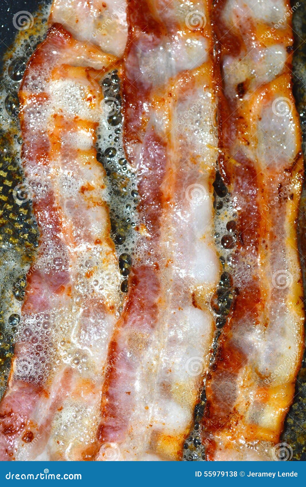 Bacon frying in a pan stock photo. Image of frying, fried - 55979138