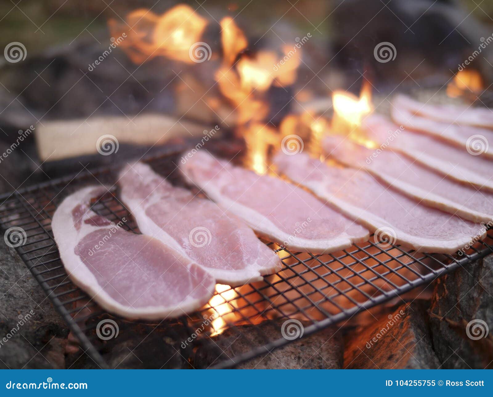 Bacon Grilling on a Campfire Stock Image - Image of focus, scotland ...