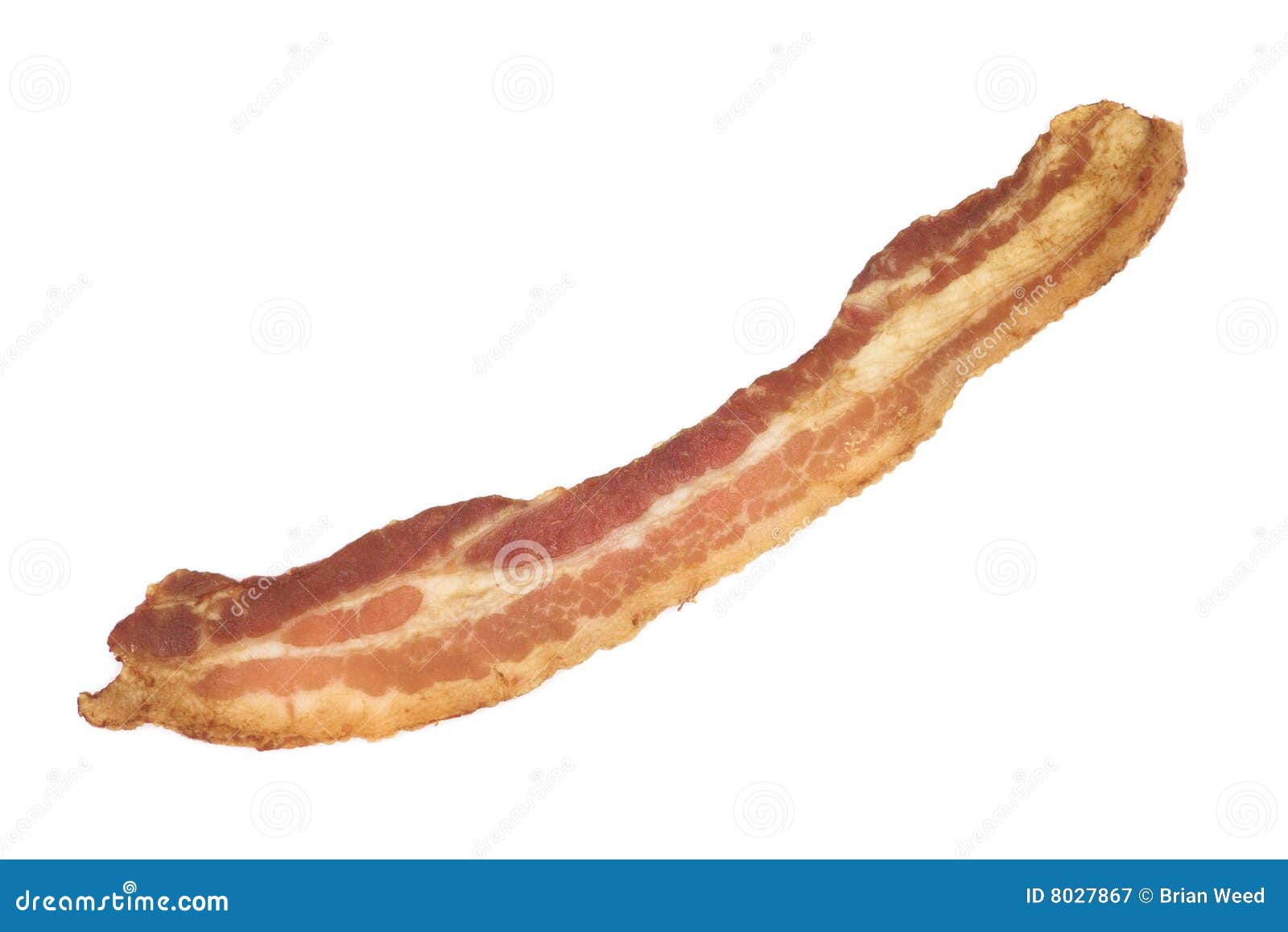 Bacon Isolated stock image. Image of unhealthy, object - 8027867