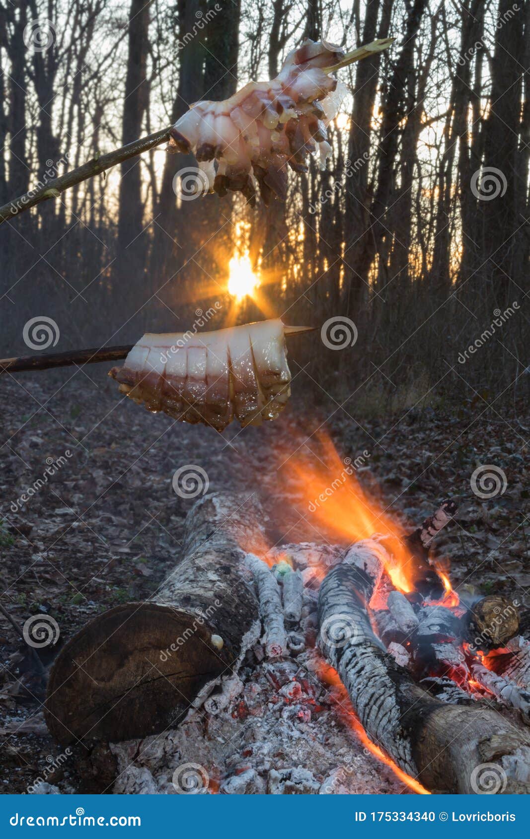 Bacon on Skewer. Campfire Cooking Stock Photo - Image of camping ...