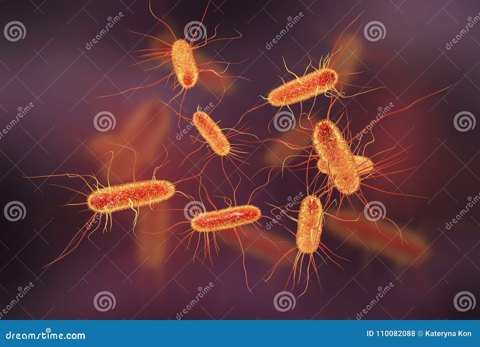 Bactéria De Escherichia Coli Ilustração Stock - Ilustração de patologia ...