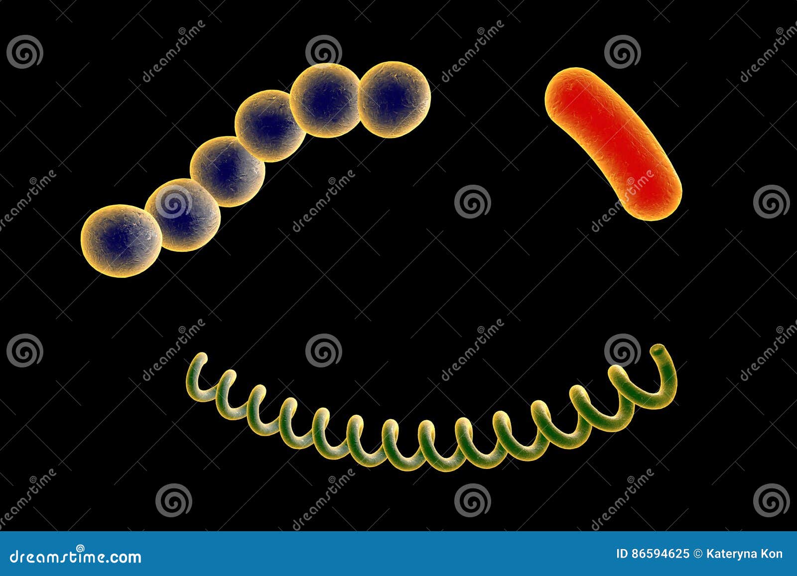 Bactérias De Formas Diferentes Ilustração Stock - Ilustração de micro ...