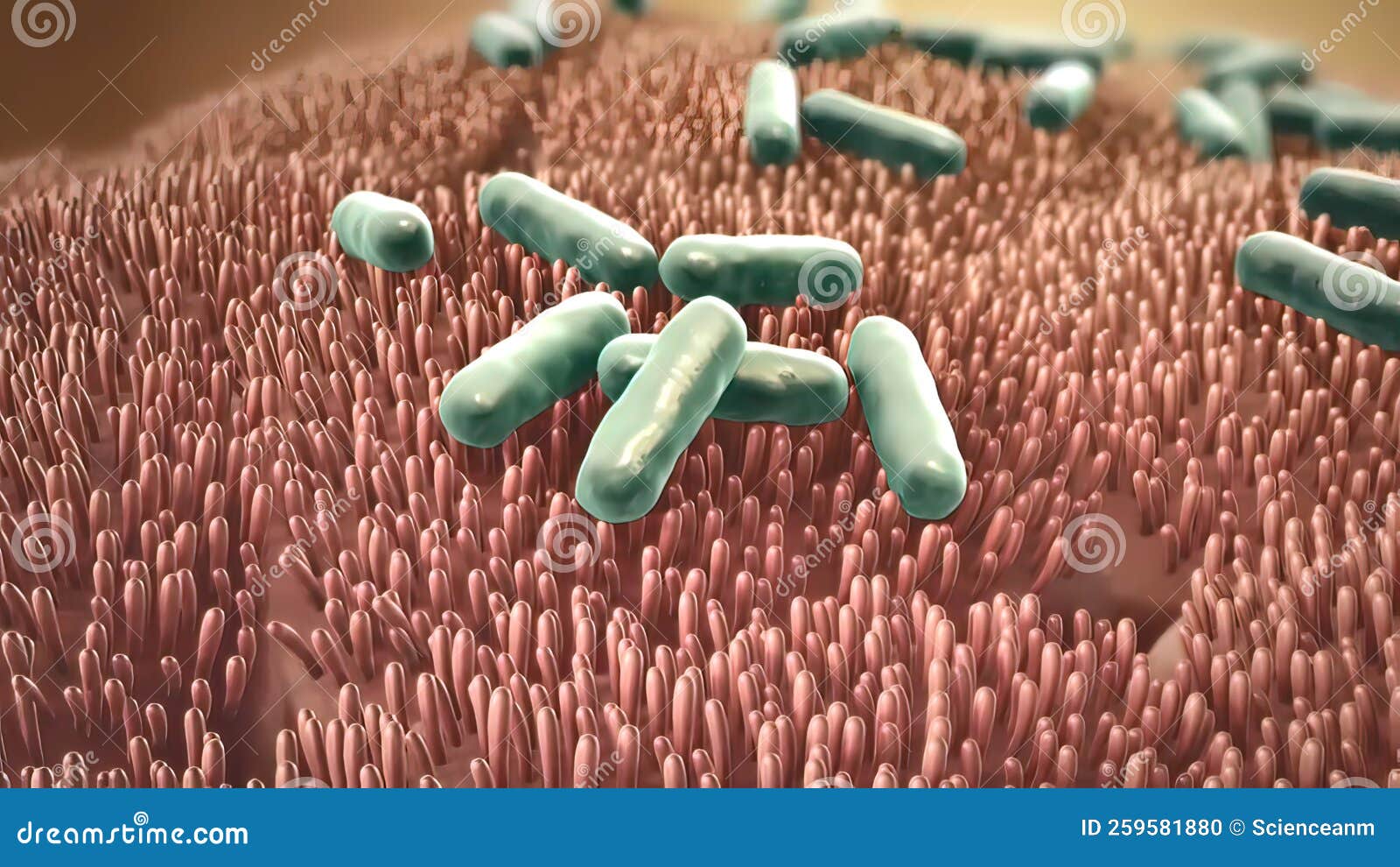 Bactérie pathogène illustration stock. Illustration du milieux - 259581880