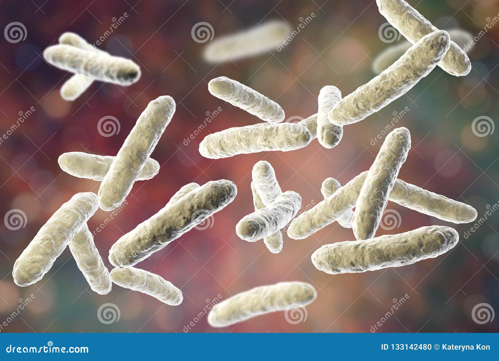 Bactéries Probiotic, Flore Microbienne Intestinale Normale Illustration ...