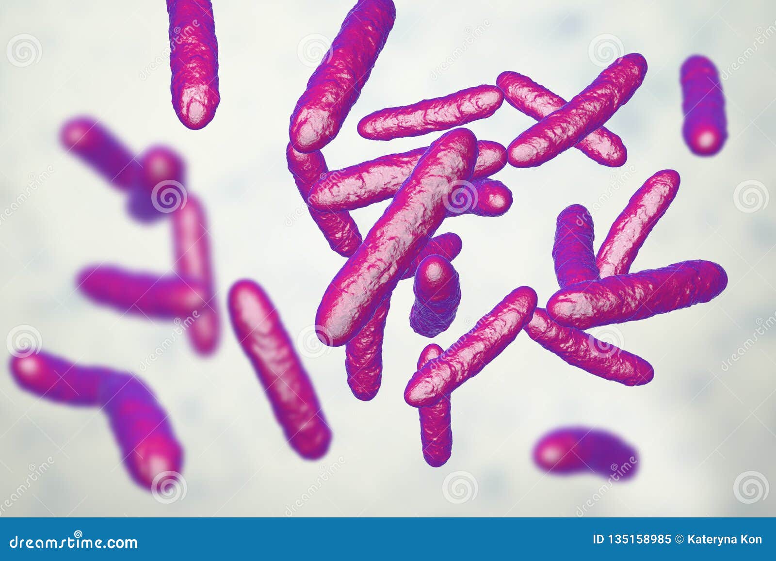 Bactéries Probiotic, Flore Microbienne Intestinale Normale Illustration ...