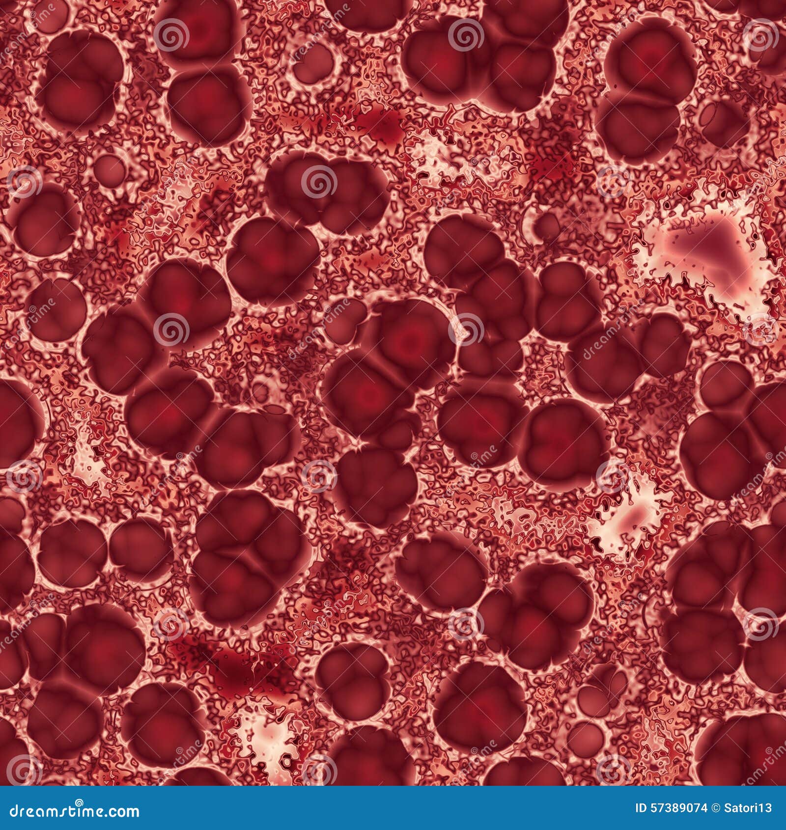 Bactéries Sous Le Microscope Photo stock - Image du cellule, microbe ...