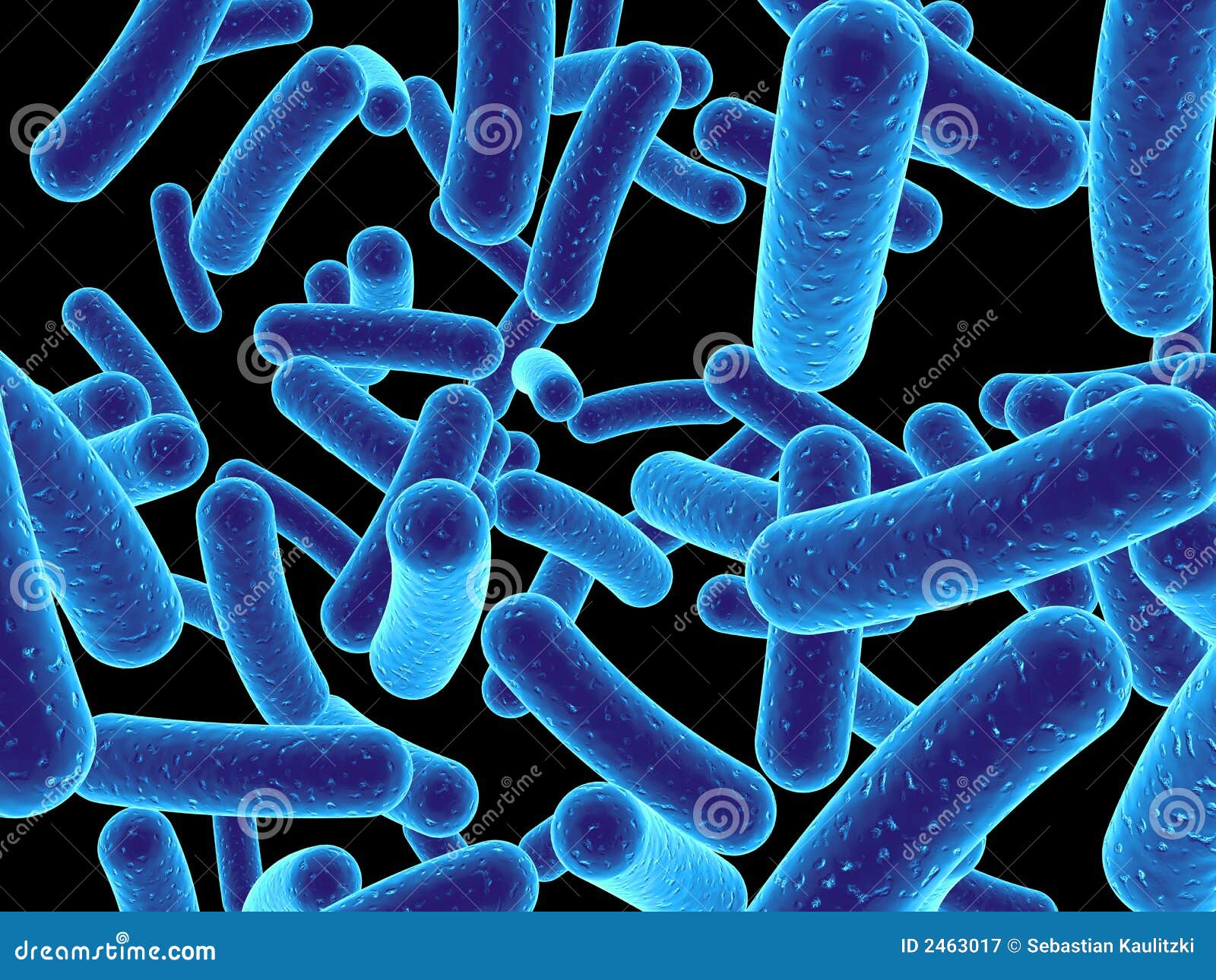 Bacteriën stock illustratie. Illustration of biologie - 2463017