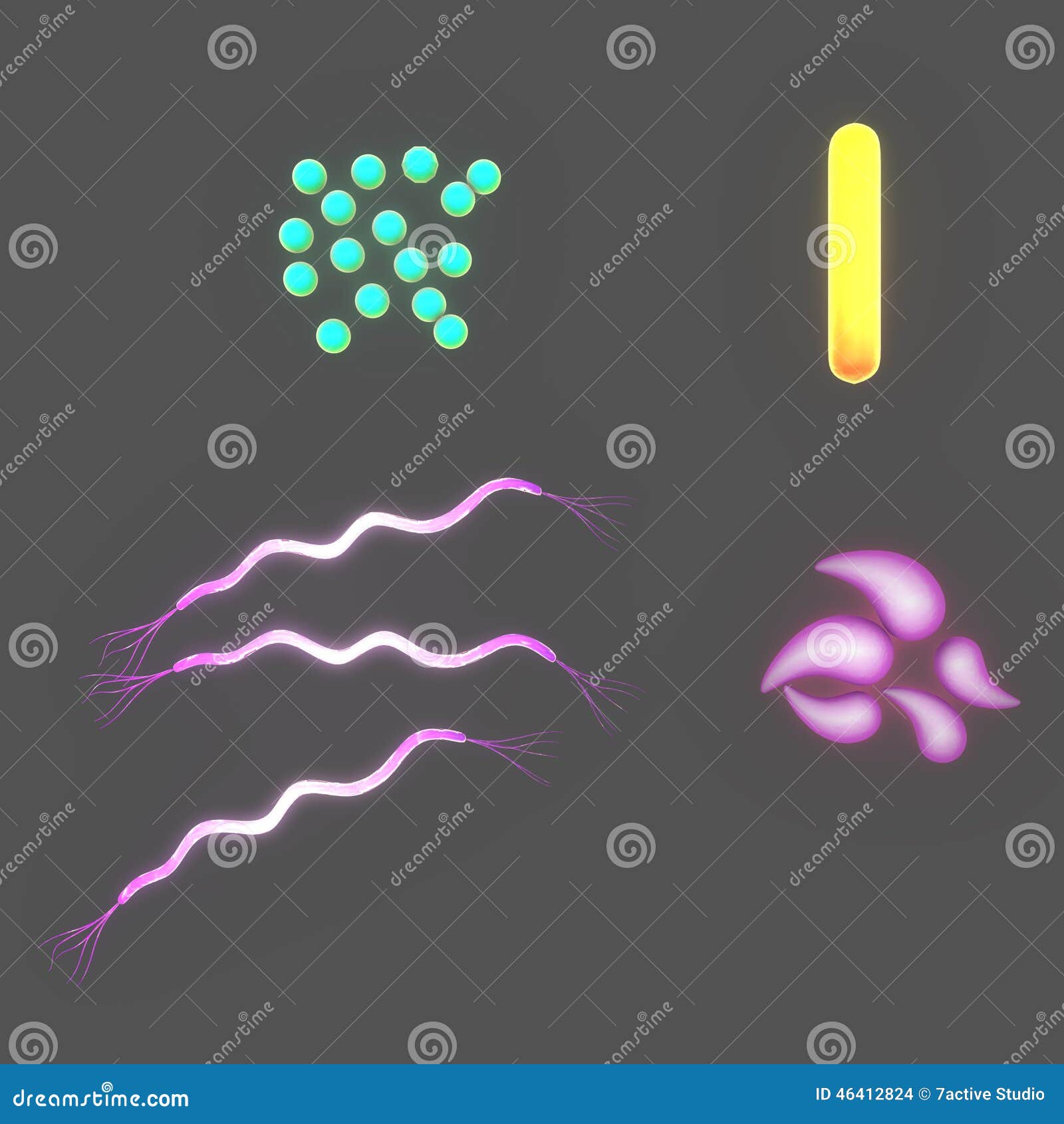 Bacteriën Van Verschillende Vormen Stock Illustratie - Illustration of ...