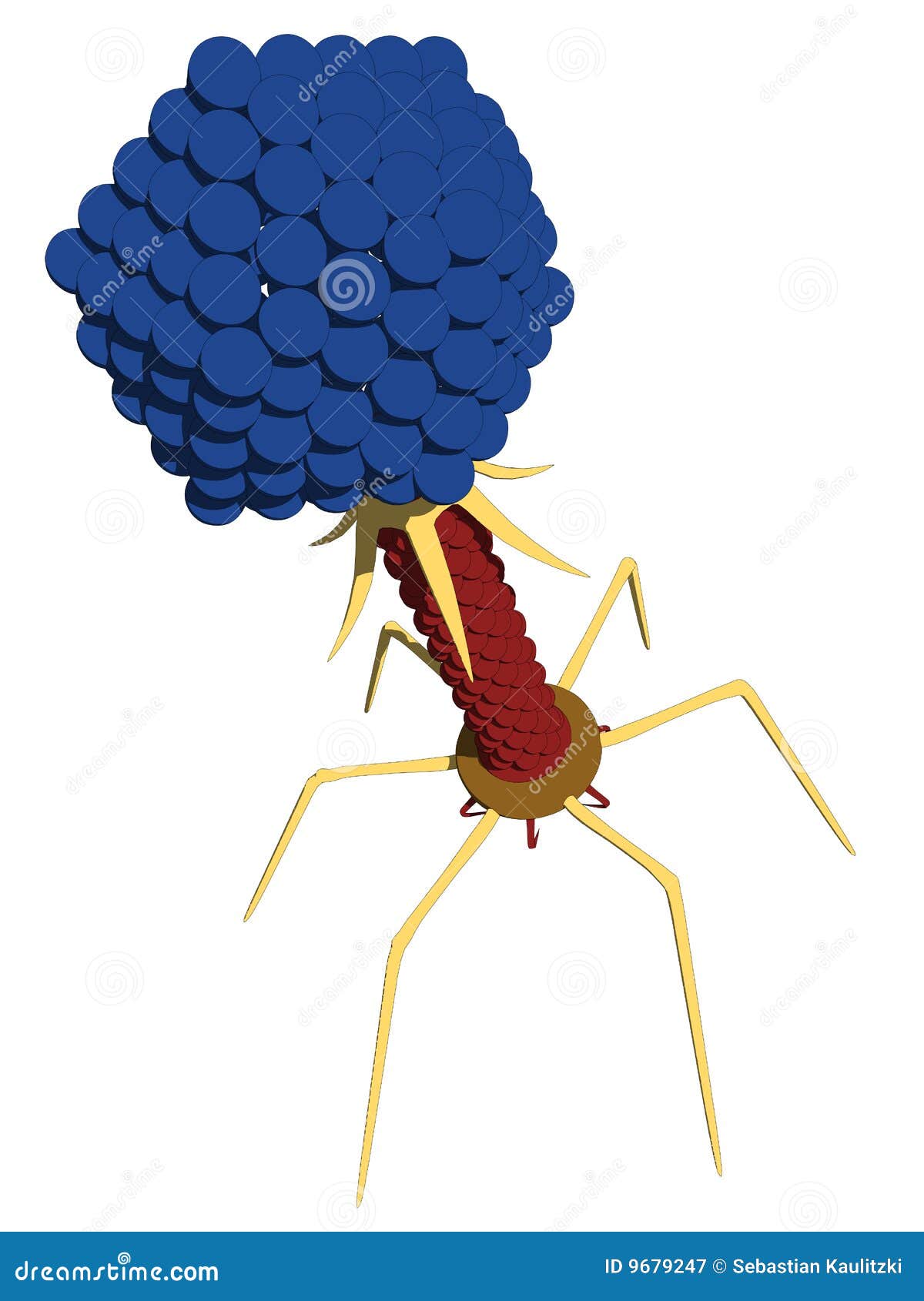 Bacteriófago ilustración del vector. Ilustración de célula - 9679247
