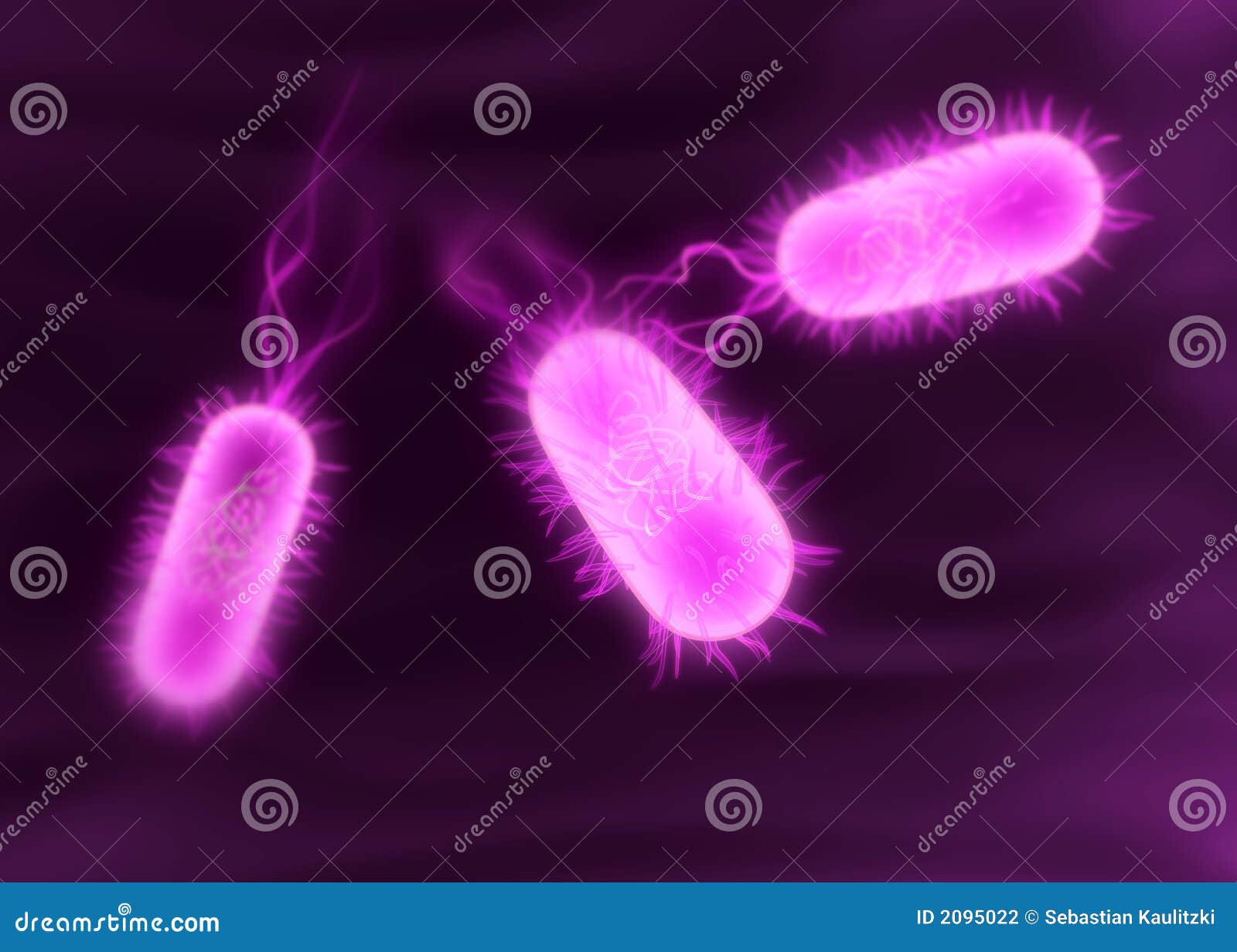 Bacteria stock illustration. Illustration of microbiology - 2095022