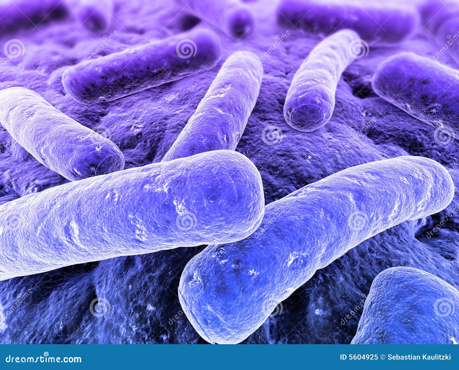 Bacteria stock illustration. Illustration of bacteria - 5604925