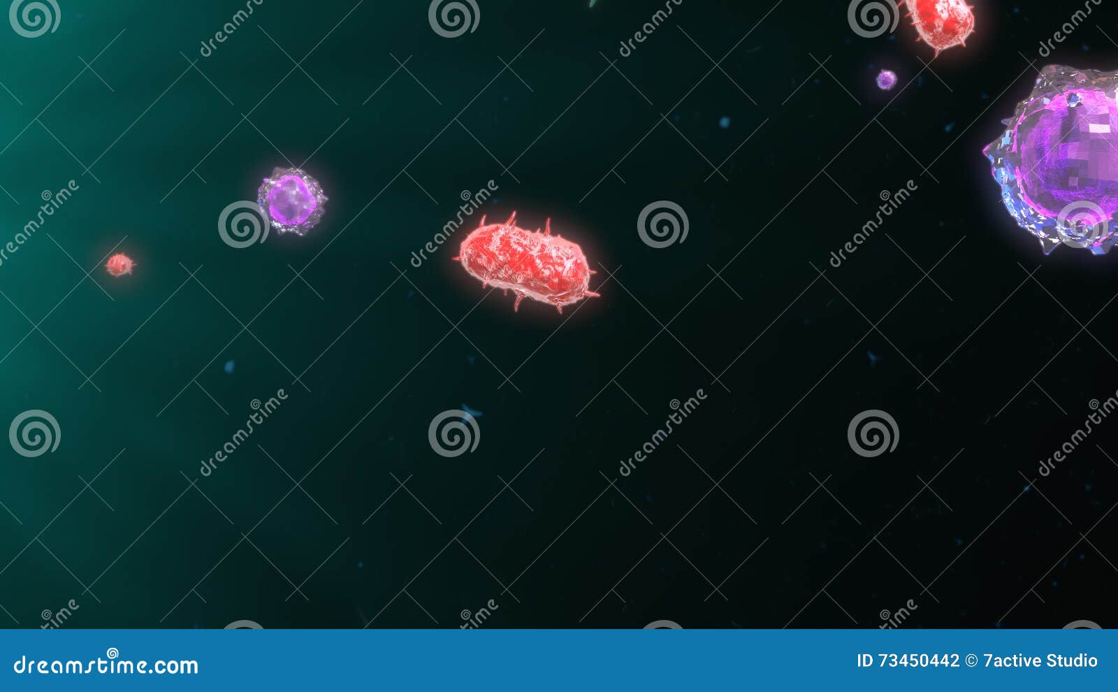 Bacteria Attacking the Immune System Stock Illustration - Illustration ...