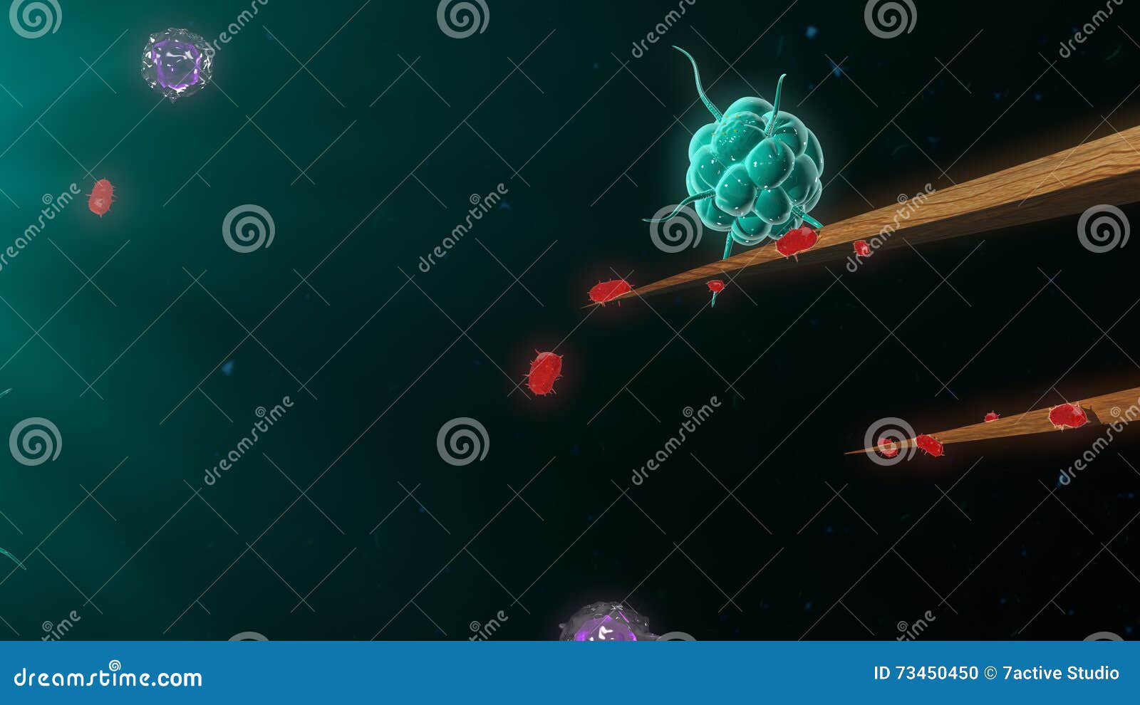 Bacteria Attacking the Immune System Stock Illustration - Illustration ...