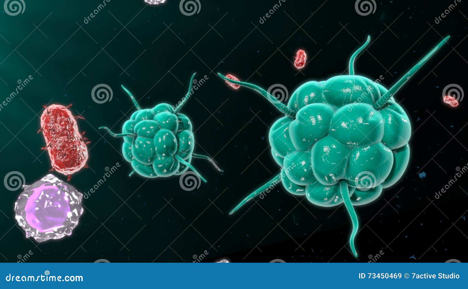 Bacteria Attacking the Immune System Stock Illustration - Illustration ...