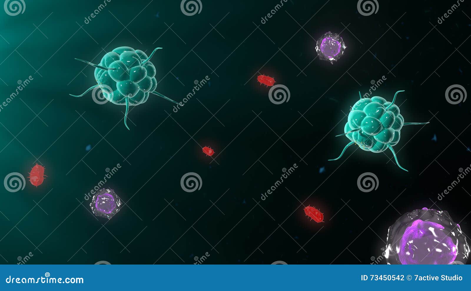 Bacteria Attacking the Immune System Stock Illustration - Illustration ...