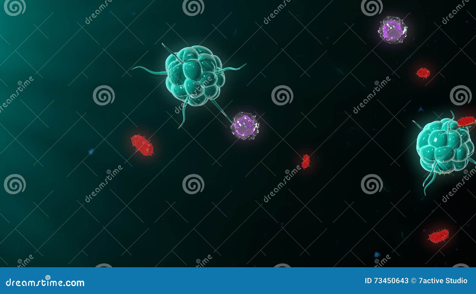 Bacteria Attacking The Immune System Royalty-Free Stock Photography ...