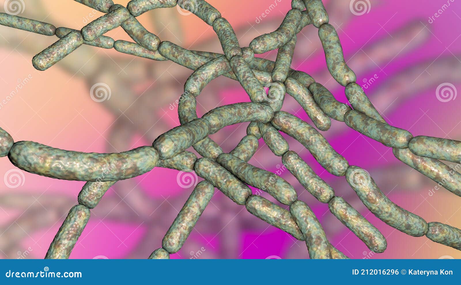 Bacteria Bacillus Anthracis Stock Illustration - Illustration of ...